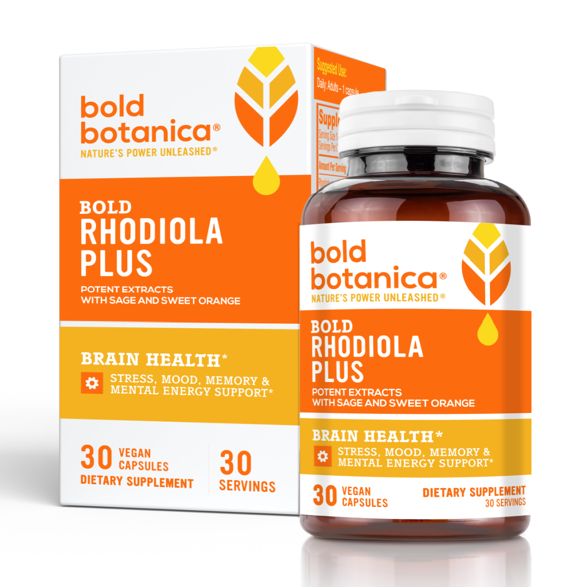 Rhodiola Supplement for Focus & Energy | Bold Botanica